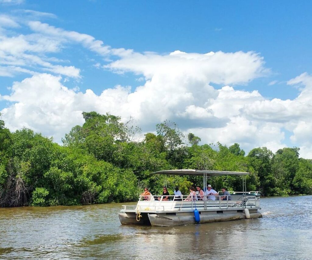 Black River Safari & YS Falls Combo Tour Package - Affordable taxi ...