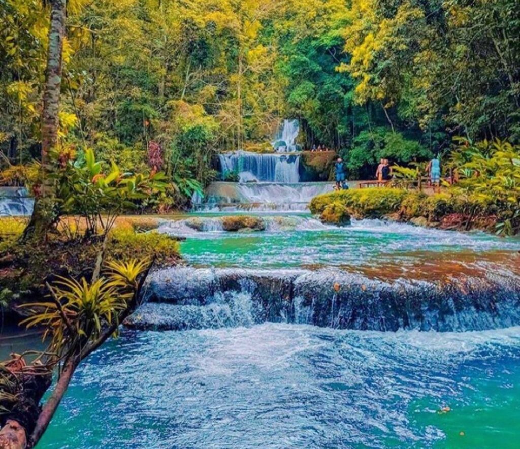 Black River Safari & YS Falls Combo Tour Package - Affordable taxi ...